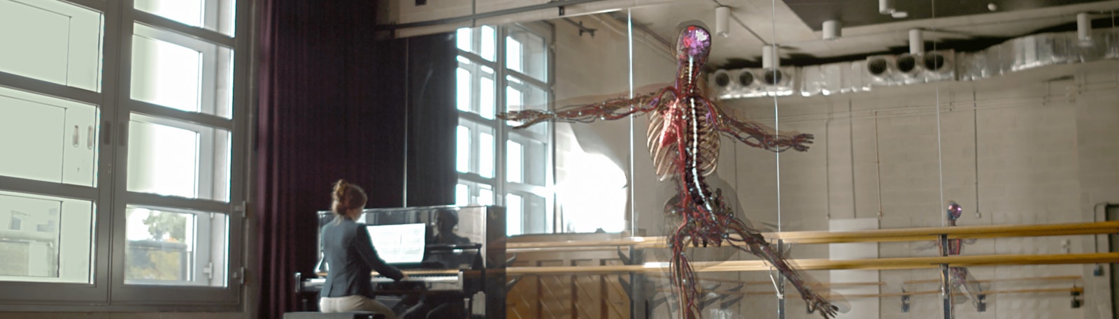 Image of The Human Body: Secrets Of Your Life Revealed