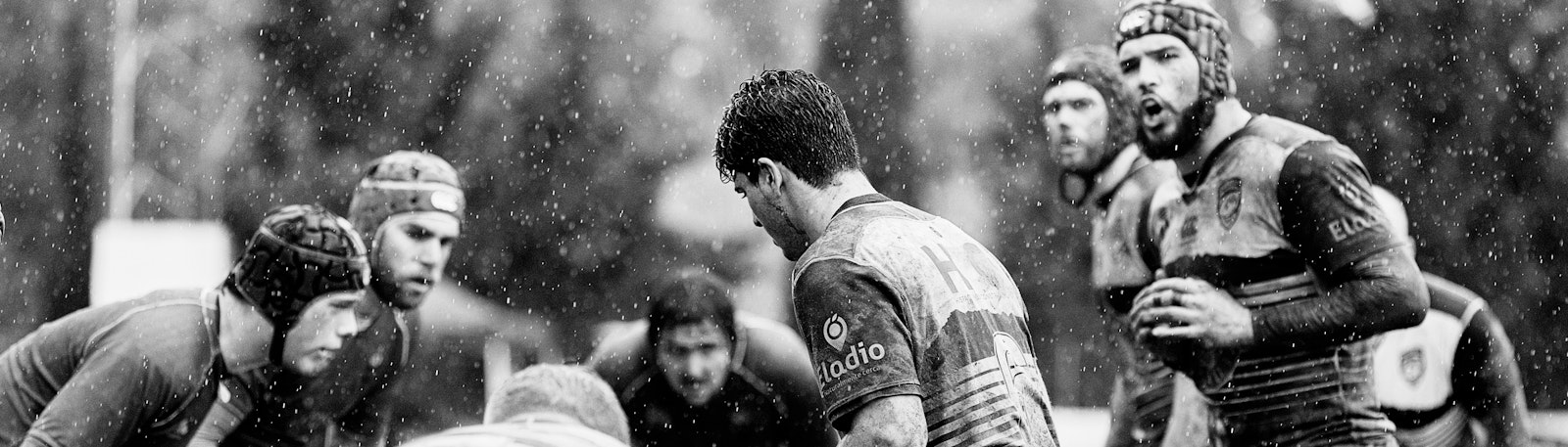 Image of The Story of Rugby