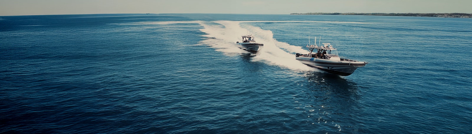 Image of Seized at Sea