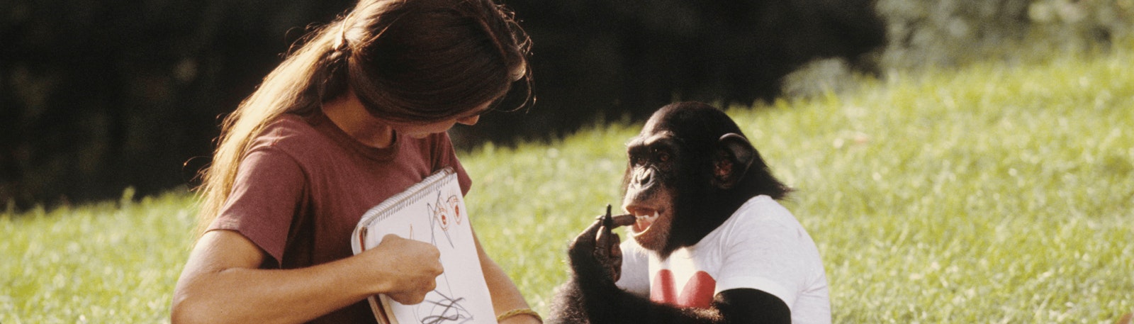 Image of Project Nim