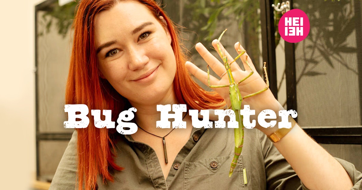 Watch Bug Hunter | Episodes | TVNZ OnDemand