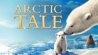 Image of Arctic Tale