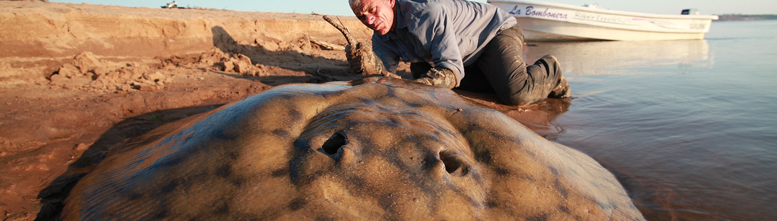 Image of River Monsters with Jeremy Wade