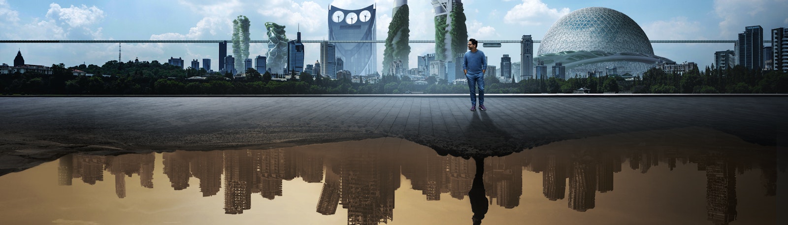 Image of A Brief History of the Future