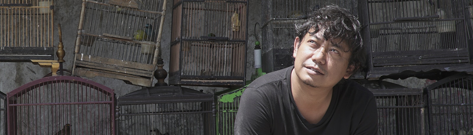 Image of The Song Catcher