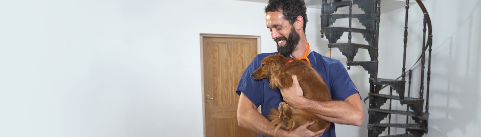 Image of Embarrassing Pets