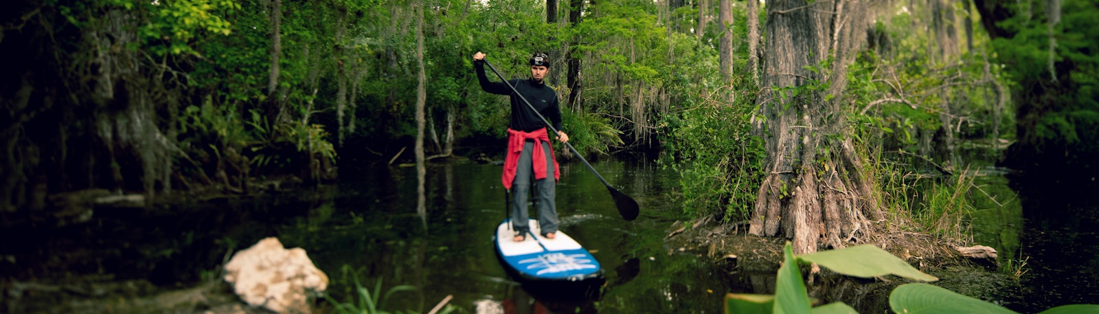 Image of Explorer Shane Untamed