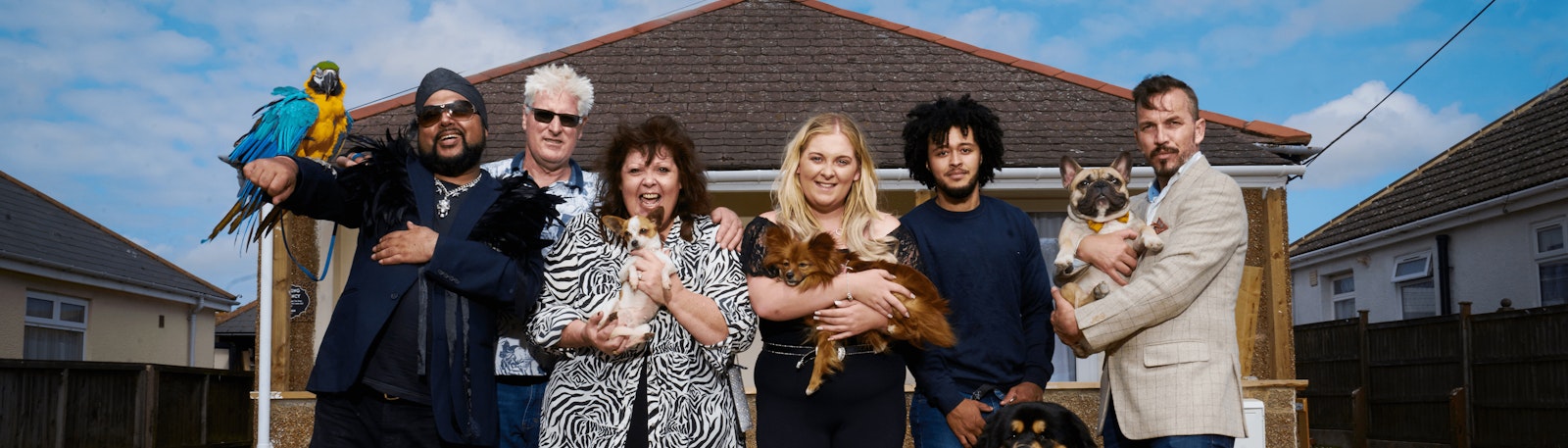 Image of The Pet Talent Agency: Barking Mad