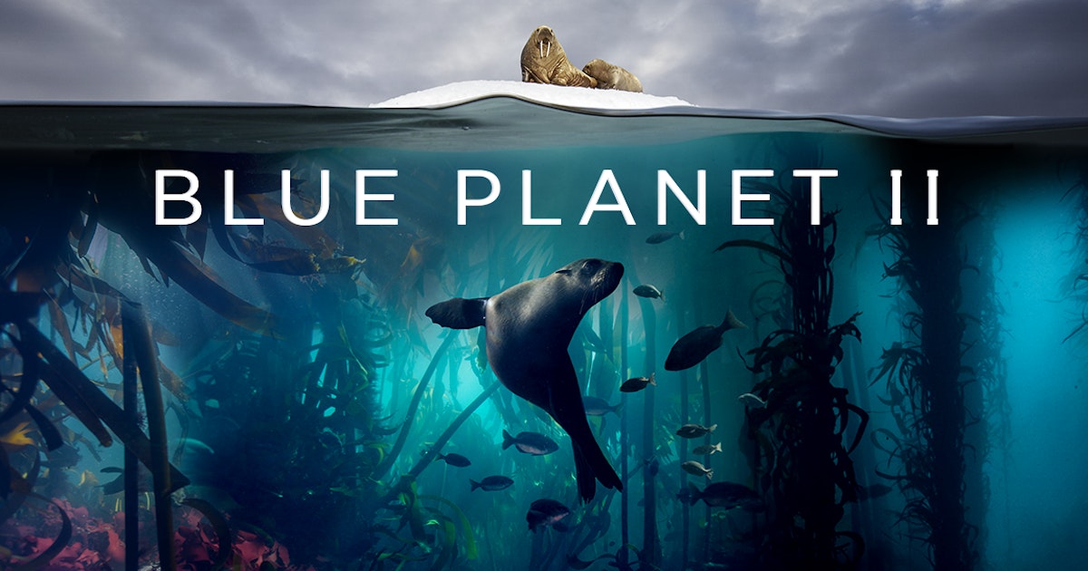 Watch Blue Planet II | Episodes | TVNZ OnDemand