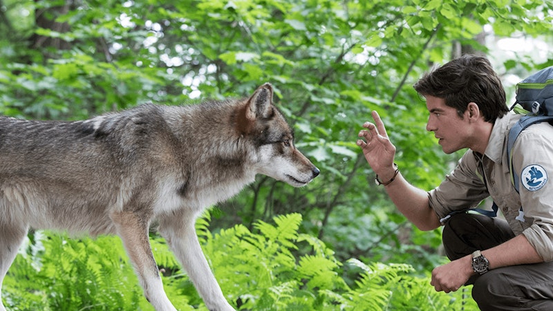 Watch Foreign Language Movies and Shows | TVNZ OnDemand