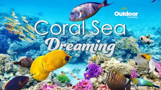 Image of Coral Sea Dreaming