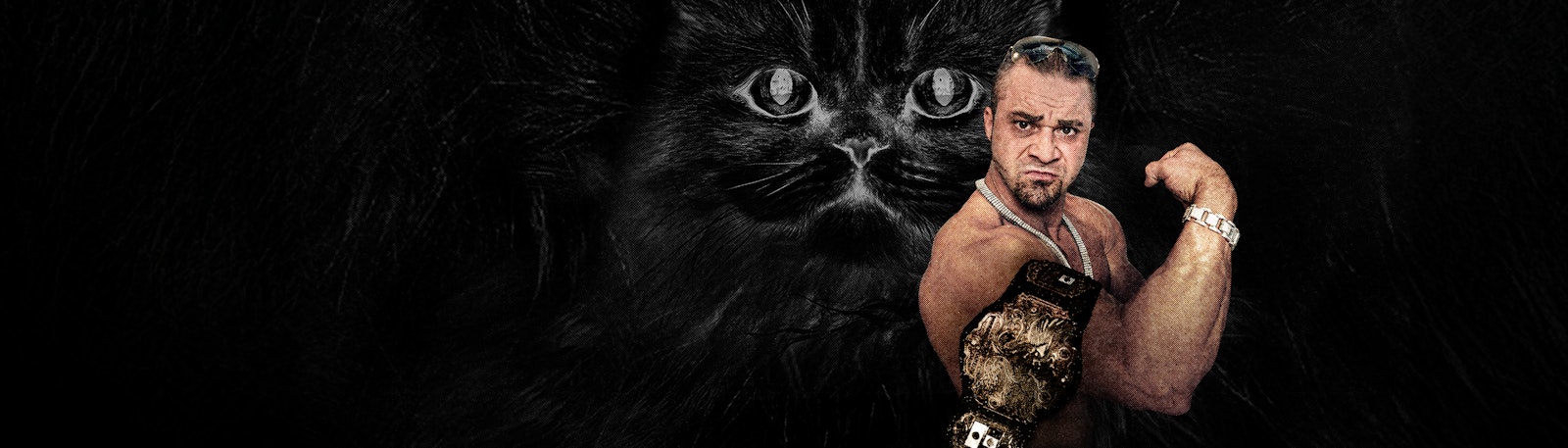 Image of Dangerous Breed: Crime. Cons. Cats.