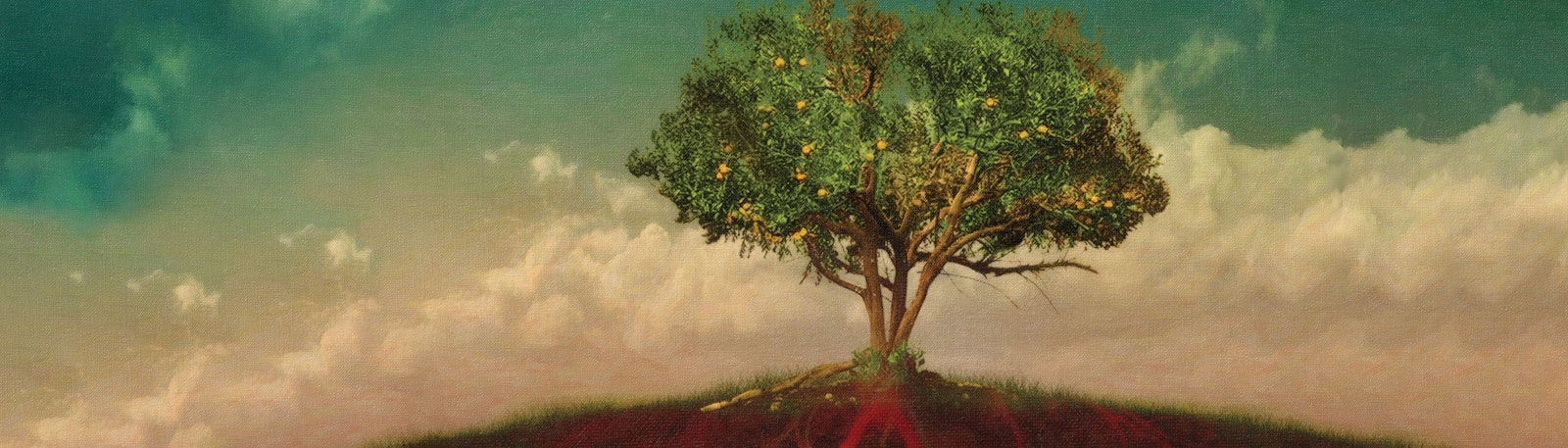 Image of One Thousand Ropes