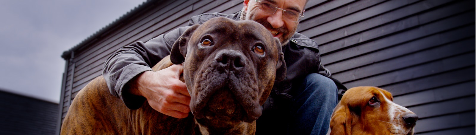 Image of The Supervet