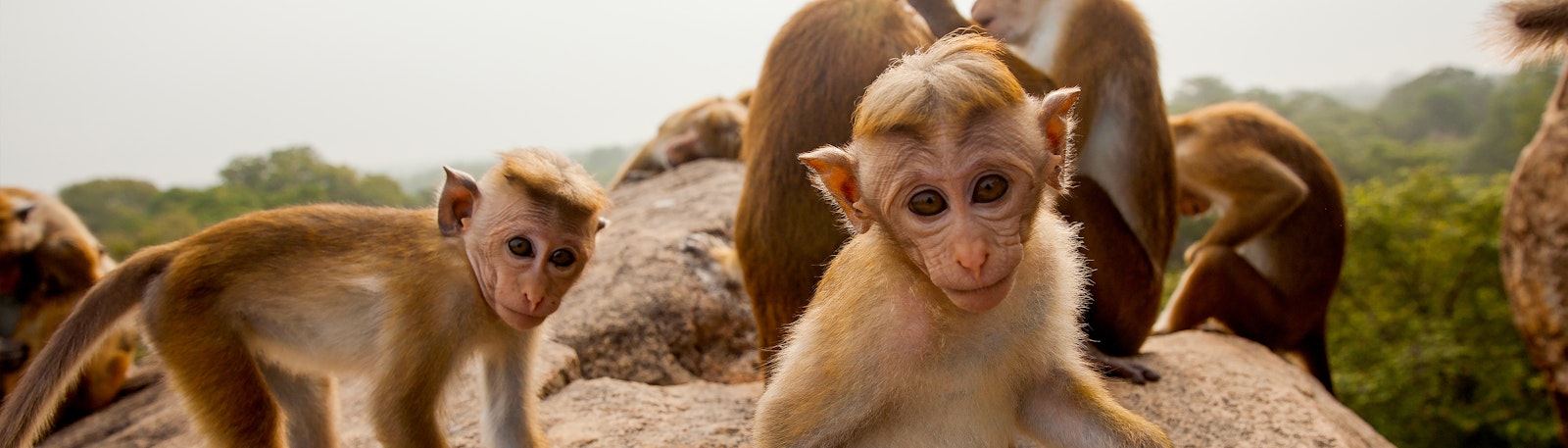 Image of First Year on Earth