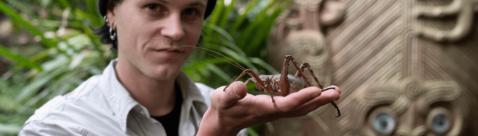 Image of Wild Work: Aotearoa