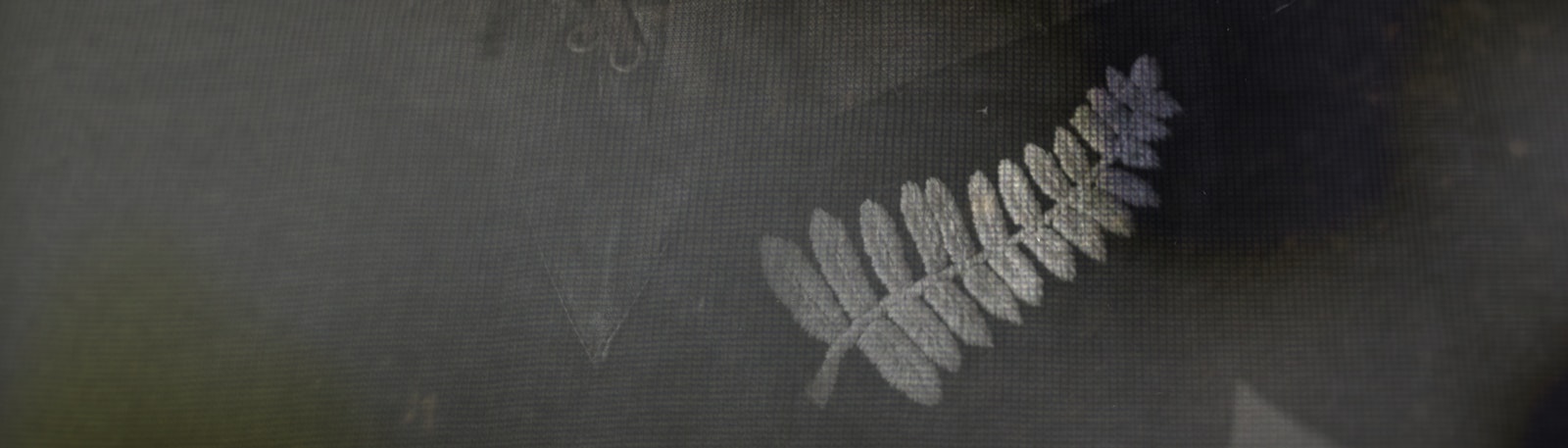 Image of All Blacks at War