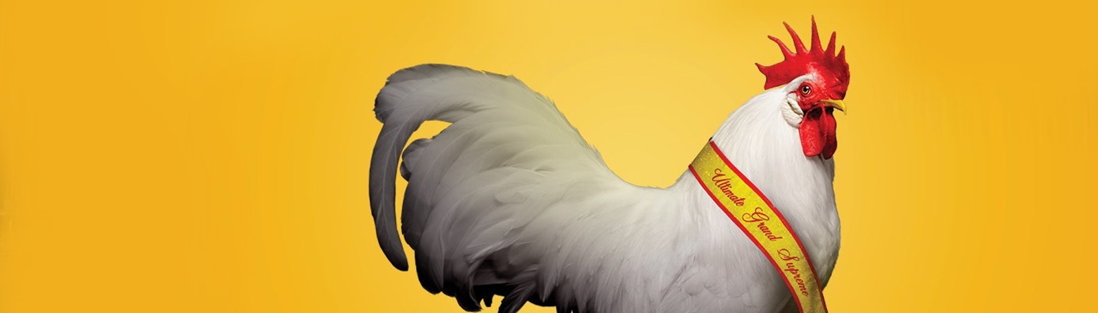 Image of Chicken People